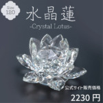 水晶蓮 -crystal lotus- 120サイズ - 【公式】カイドク館
